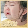 파라인플루엔자 파라바이러스 증상 전염 잠복기 아기열 유아열 감기 네이버 블로그